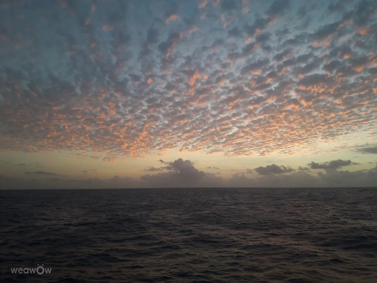 Pacific Ocean , 14 days Weather forecast, Radar & Photos - Weawow
