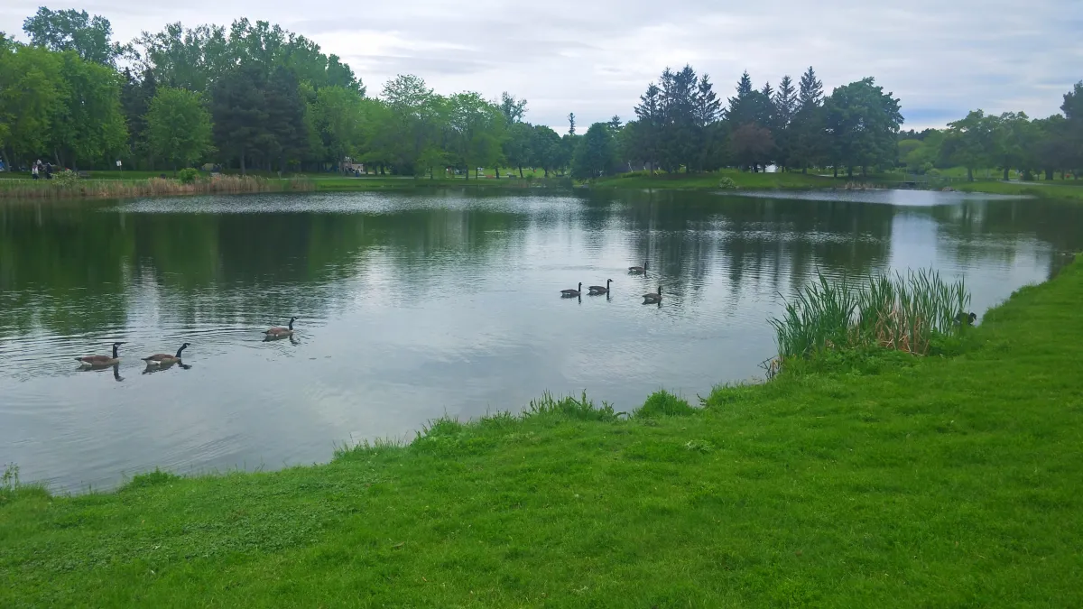 Ottawa Canada, 14 days Weather forecast, Radar & Photos - Weawow