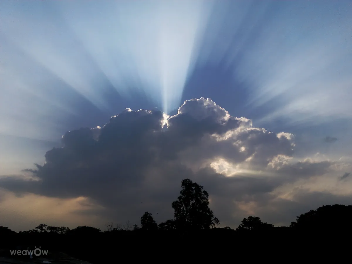 Vagamon India, 14 days Weather forecast, Radar & Photos - Weawow