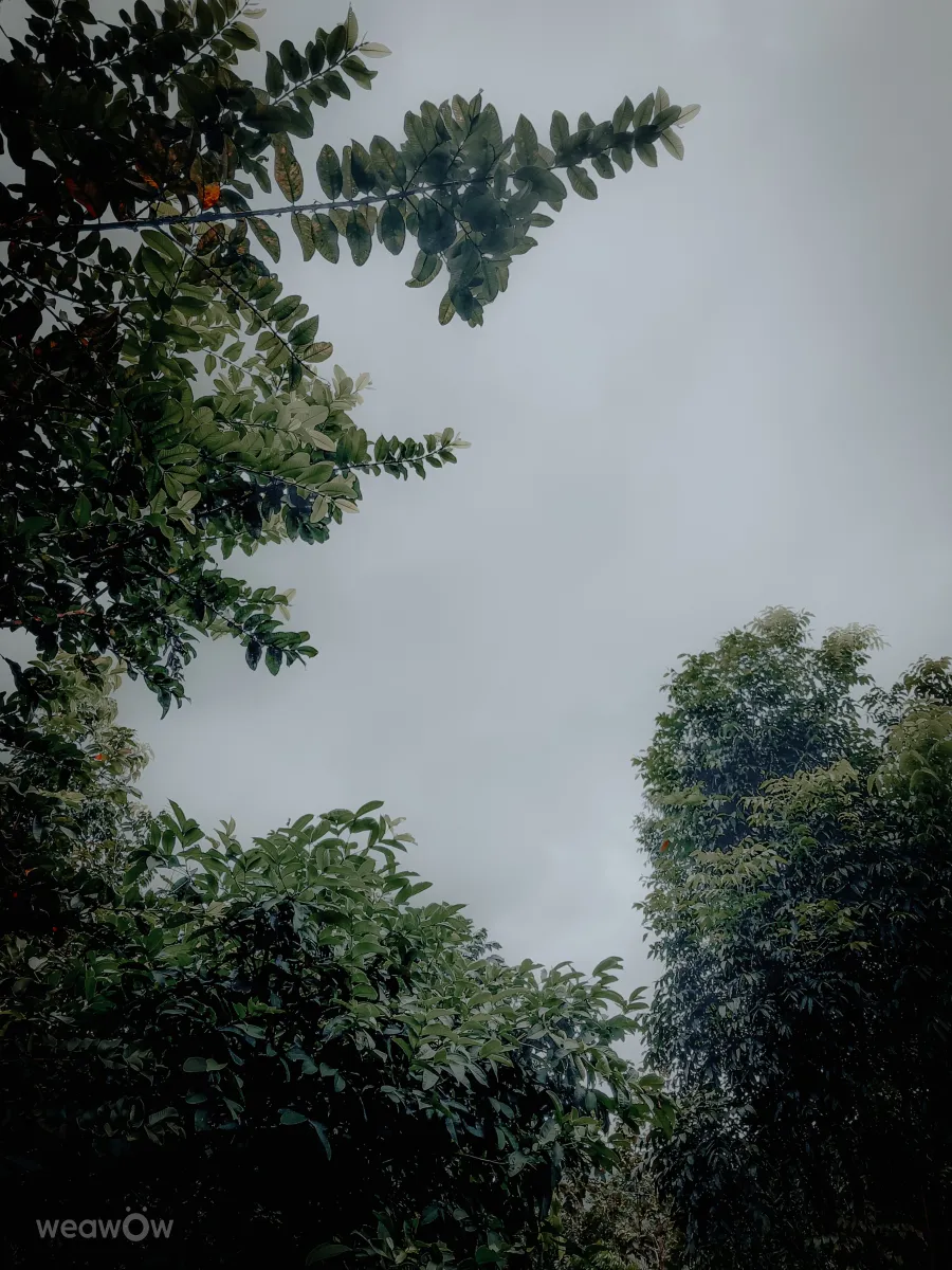 Vagamon India, 14 days Weather forecast, Radar & Photos - Weawow