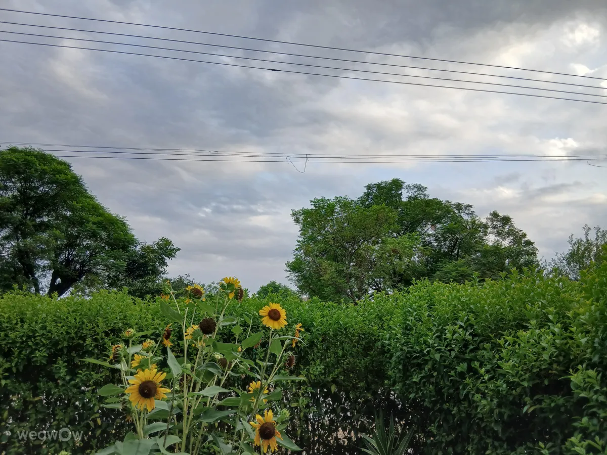 Wah Cantt Pakistan, 14 days Weather forecast, Radar & Photos - Weawow