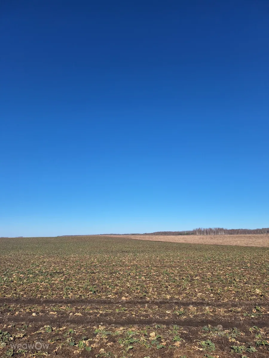 Europa , Prognoza meteo pentru 14 zile, Radar & Fotografii - Weawow